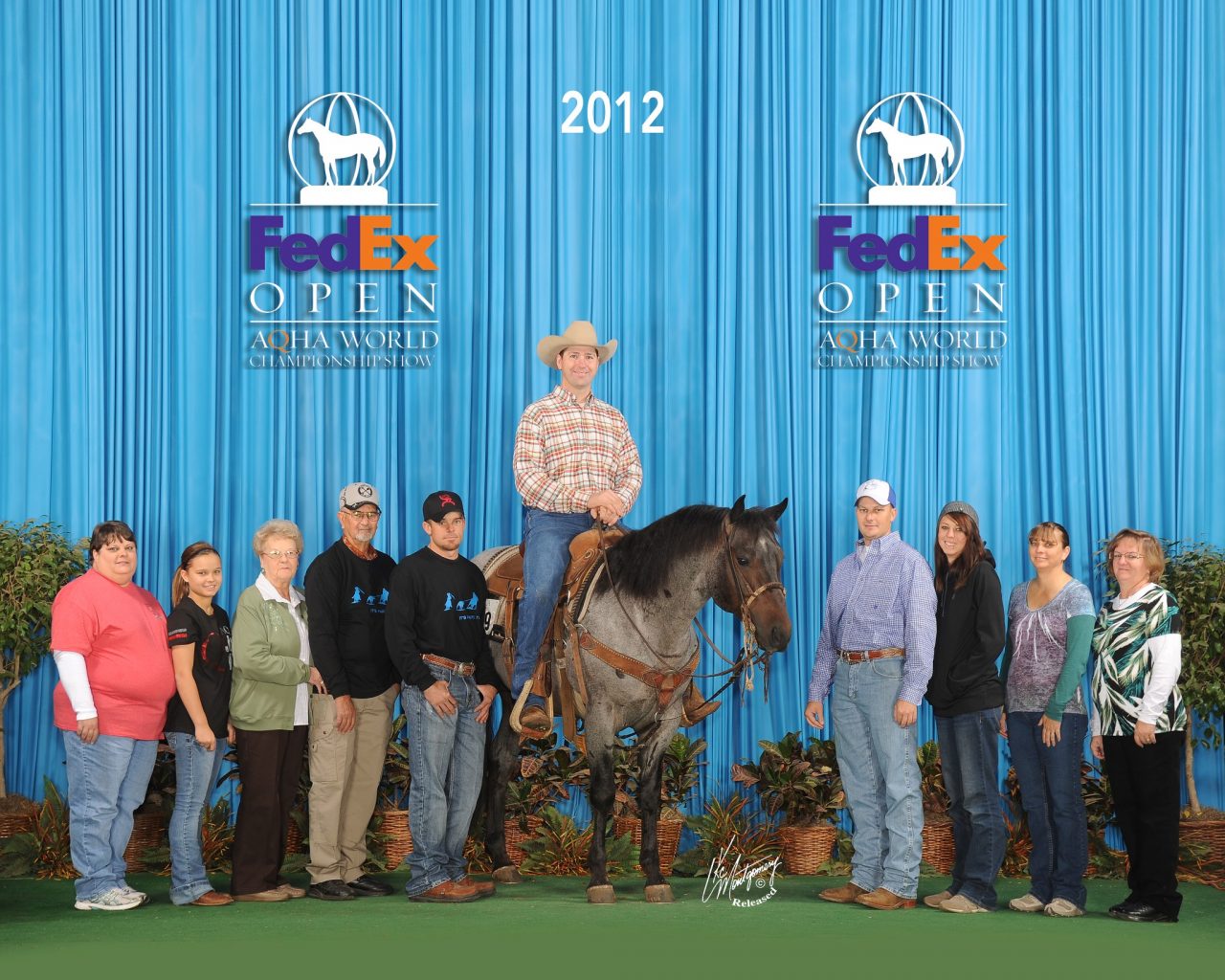 Blue Partee Fox | Granite Performance Horses