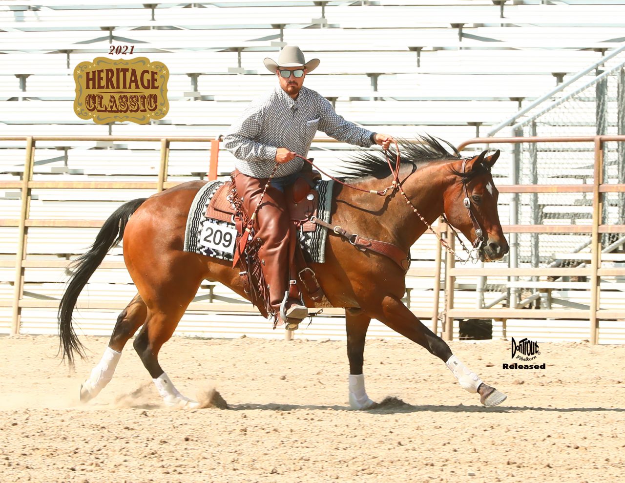 Granite Performance Horses | FOUNDATION BLOODLINES | MODERN PERFORMANCE | ROCK SOLID HORSES